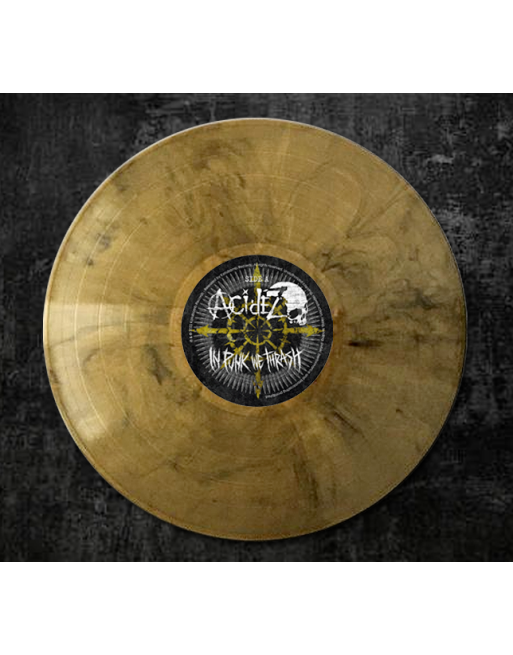 ACIDEZ "In Punk we Thrash" (LP)